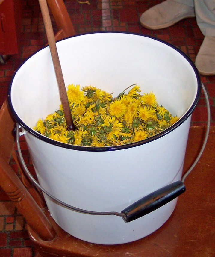 Spring Tonic – Pennsylvania Dutch At-Home Companion