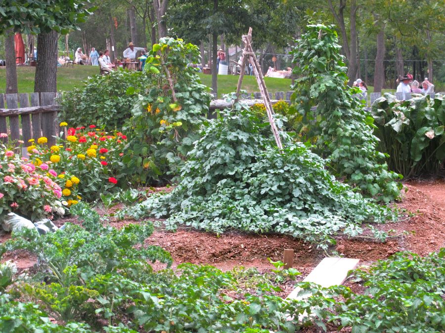 Gardens and Gardening Among the Pennsylvania Germans (Part 2 ...